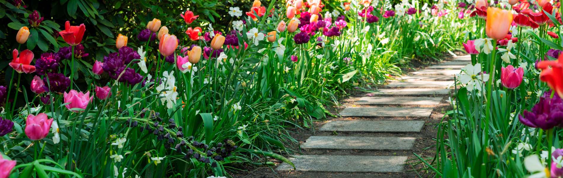 Spring Forward: Using the Season of Renewal for Self-Reflection | Life ...